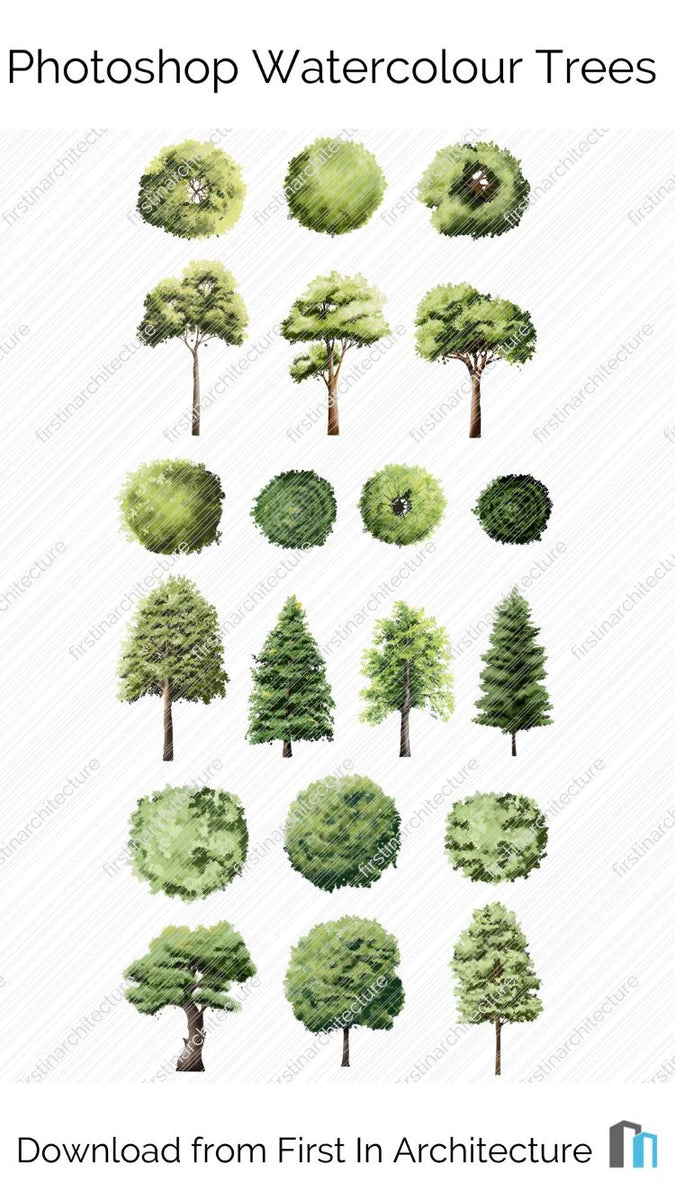 Watercolour Trees – First In Architecture