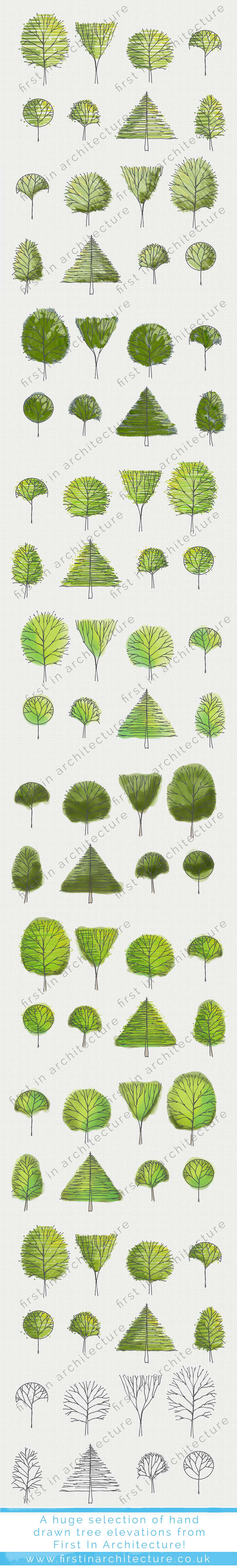 architectural trees in elevation